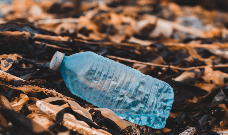 15 Plastic Pollution Facts You Should Know - Ocean Generation