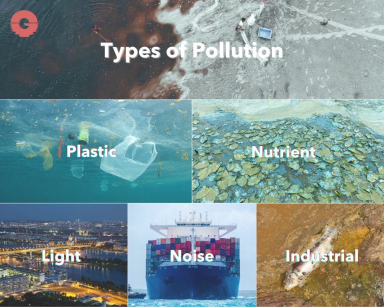 Our Impact: It’s not just plastic polluting our Ocean - Ocean Generation