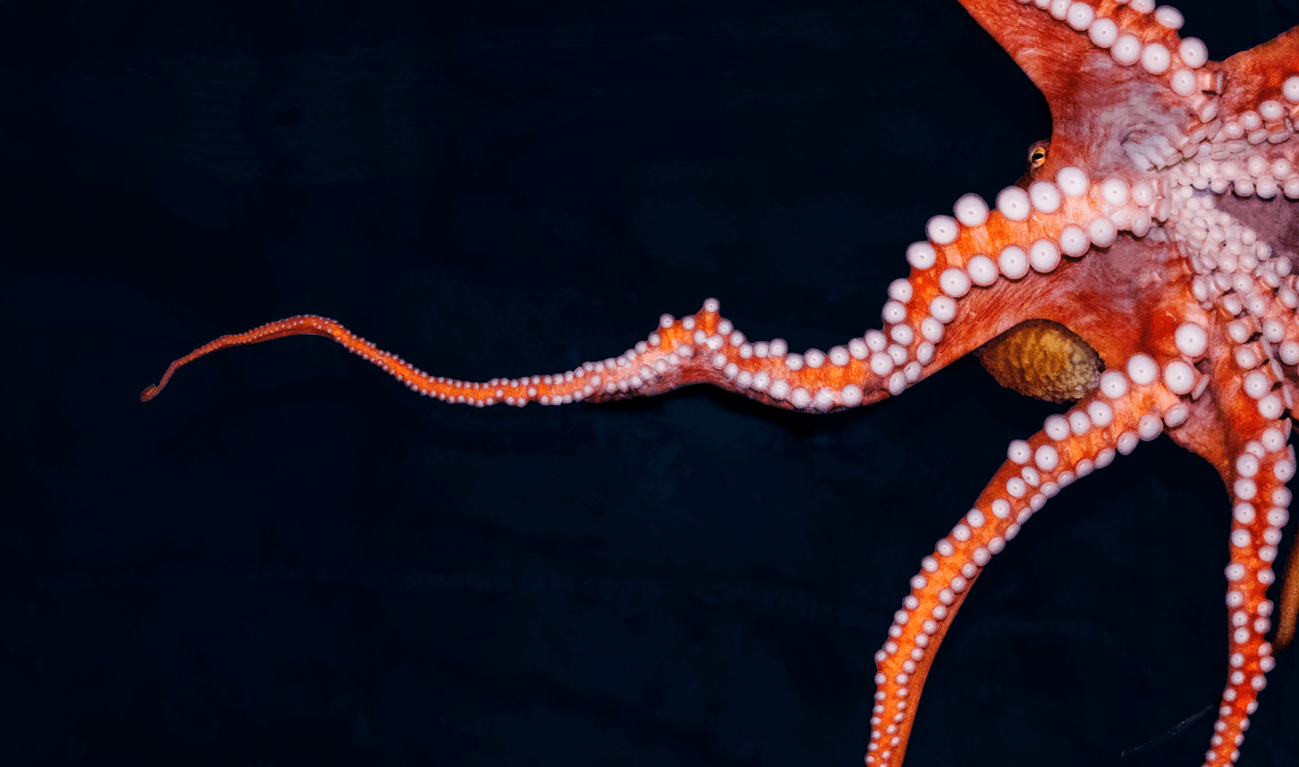 Learn about the Ocean - Science Hub - Ocean Generation