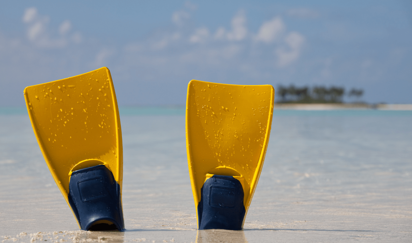 Our Impact: The cost of daily Ocean use - Ocean Generation