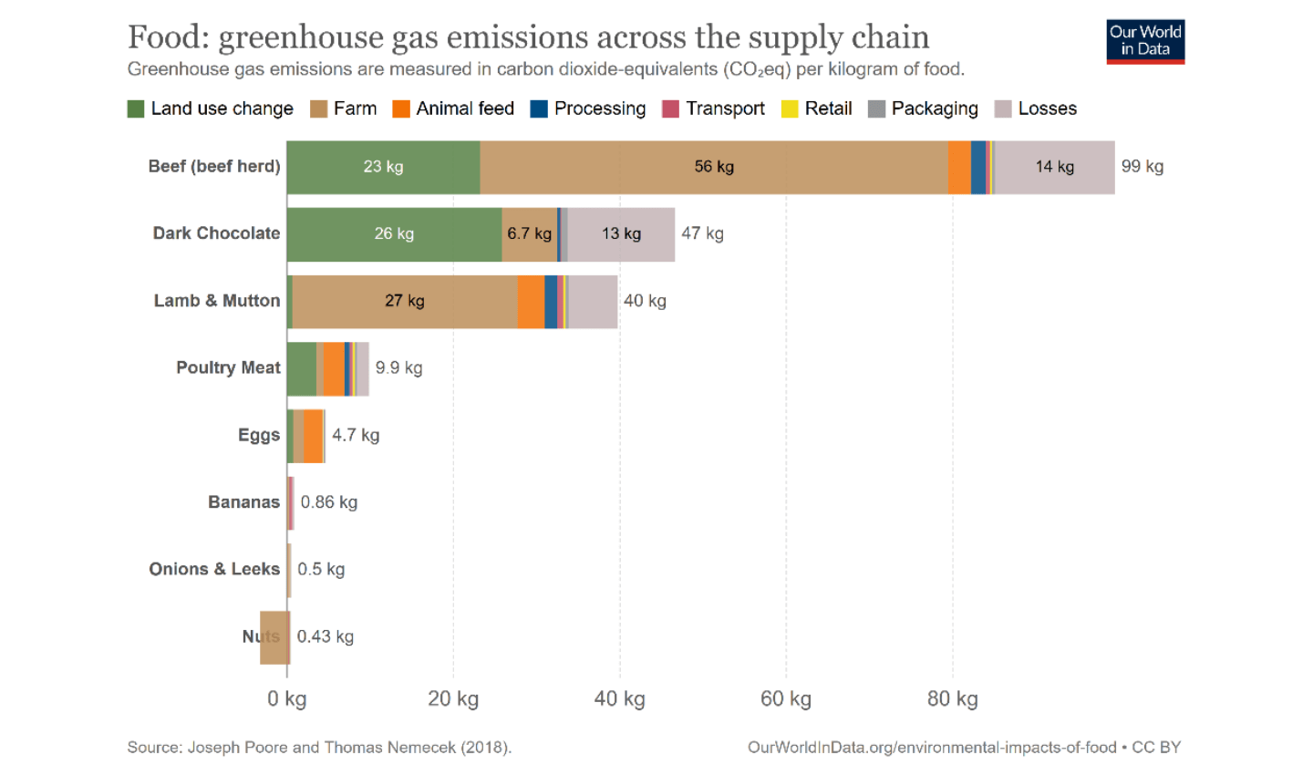 What we Eat: Is locally sourced food better for the planet? - Ocean ...