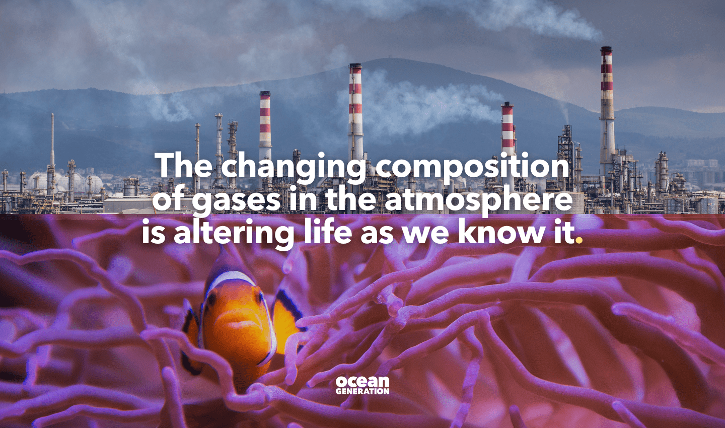 Our Impact: How does climate change impact the Ocean? - Ocean Generation