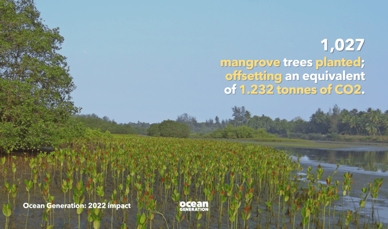Mangrove Trees: A climate change solution - Ocean Generation