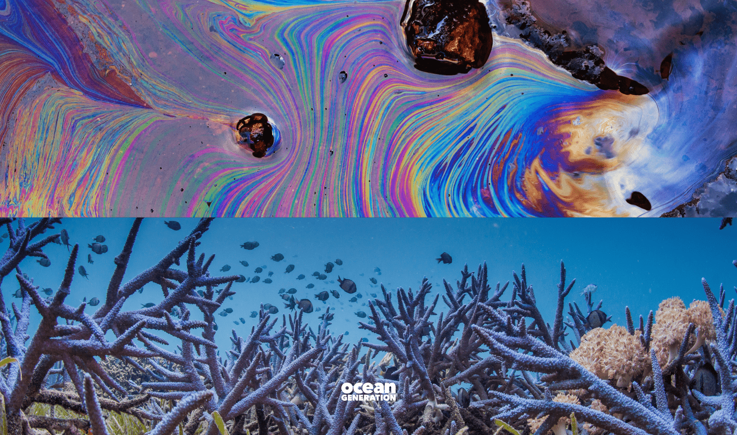 Our Impact: Understanding the 5 Ocean Threats - Ocean Generation