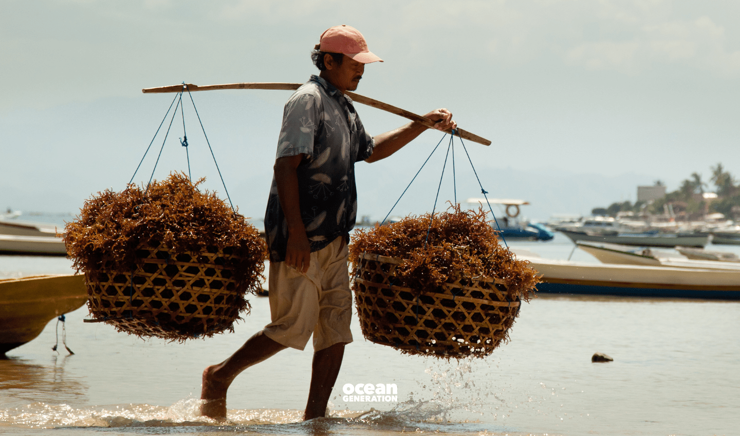 Our Impact: What resources do we extract from the Ocean? - Ocean Generation
