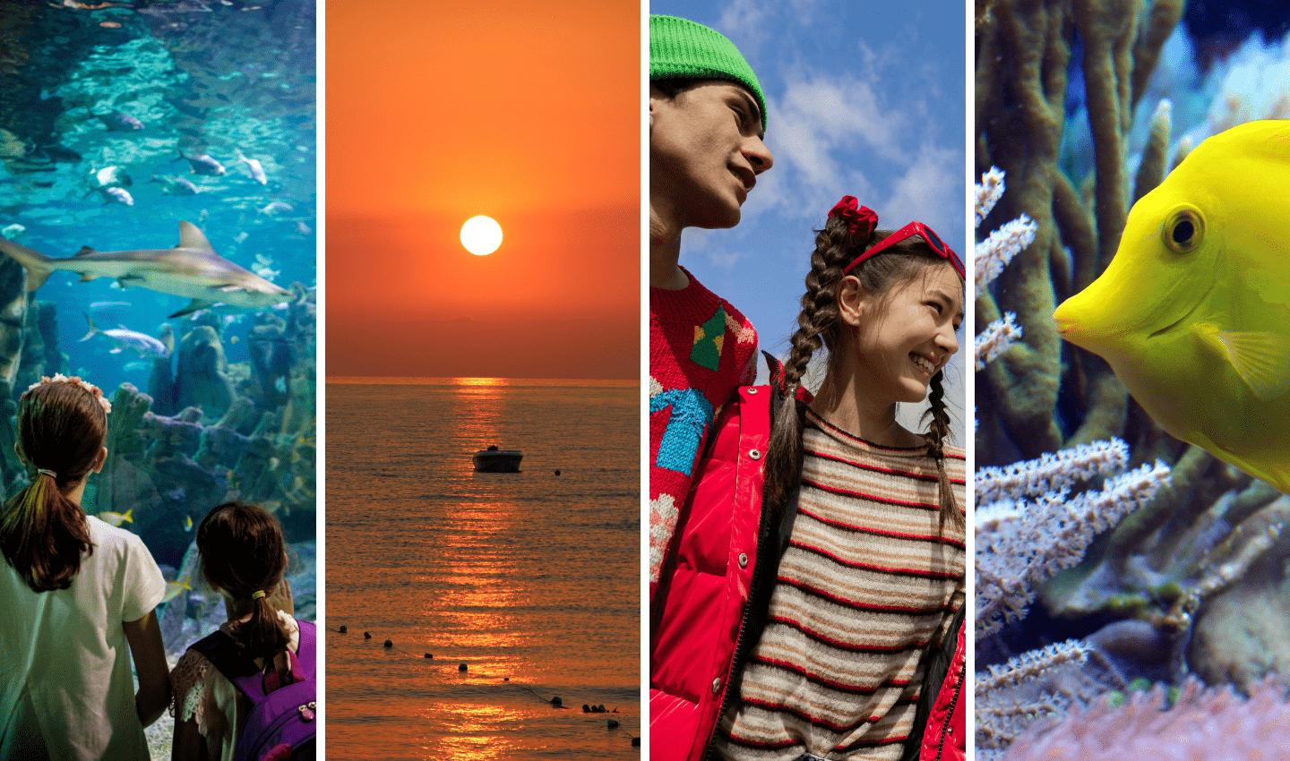 We are the Ocean Generation - Ocean Generation