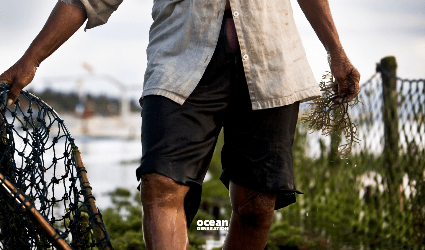 Our Impact: What resources do we extract from the Ocean? - Ocean Generation