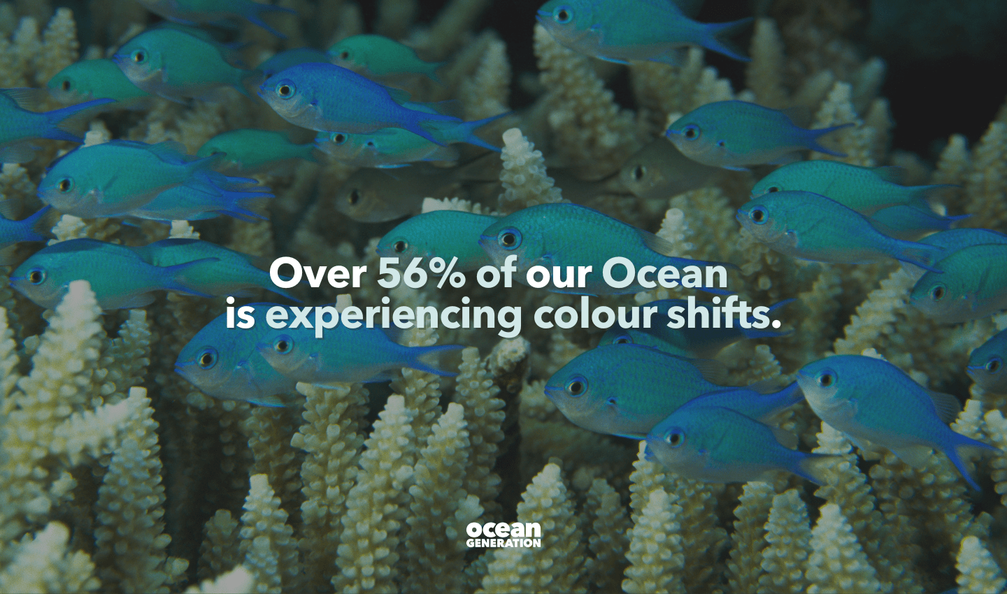 The Ocean is turning green because of climate change