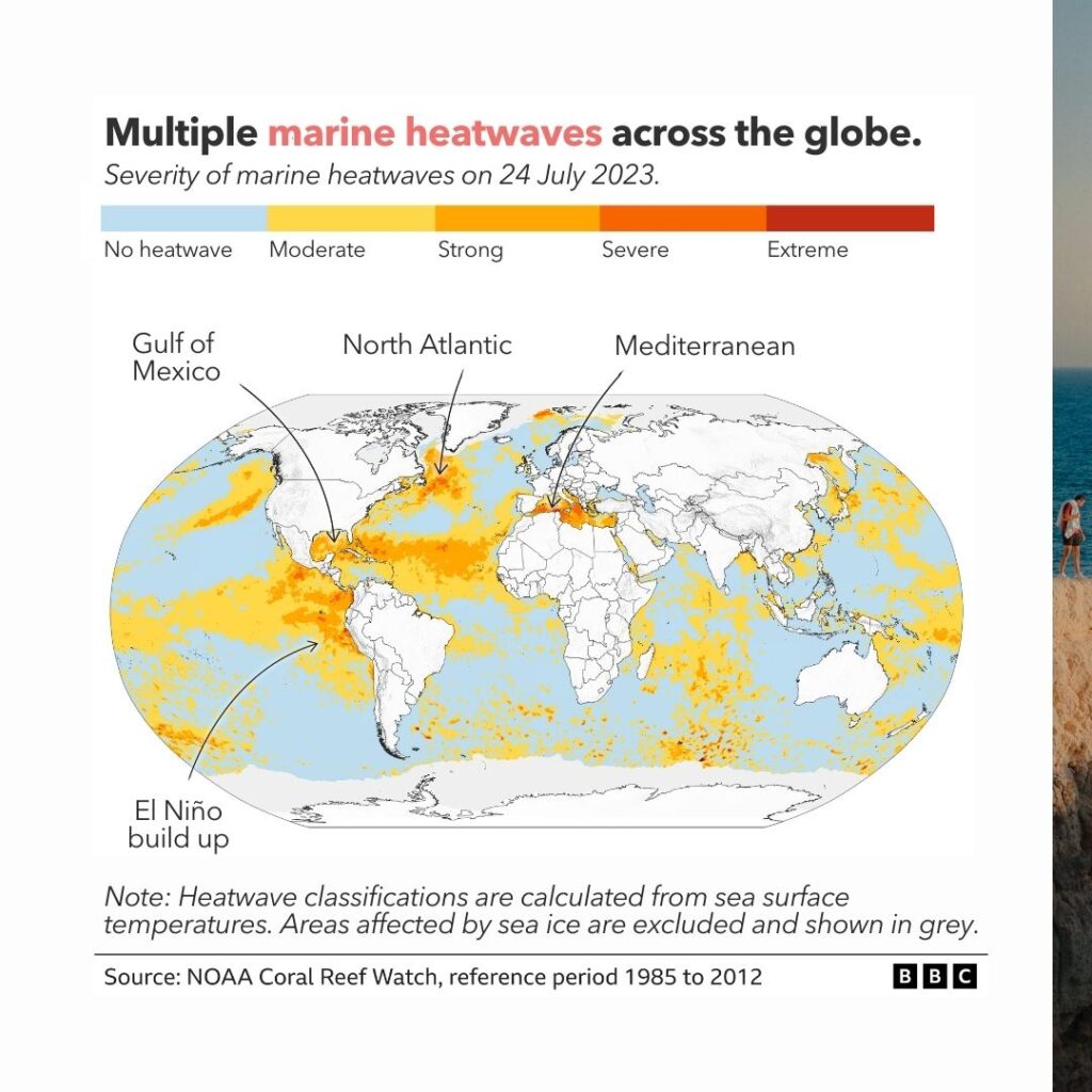 What’s happened on our blue planet since COP27? - Ocean Generation