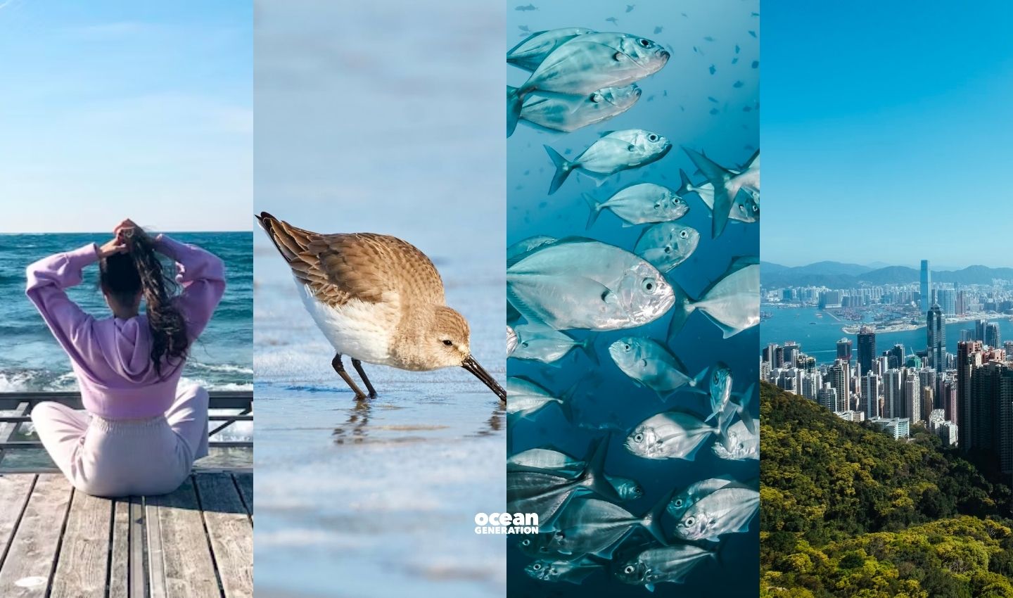 Why there's no health without the Ocean. - Ocean Generation