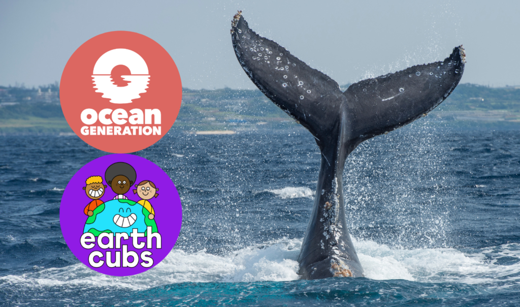 Ocean Generation + Earth Cubs - Ocean Generation