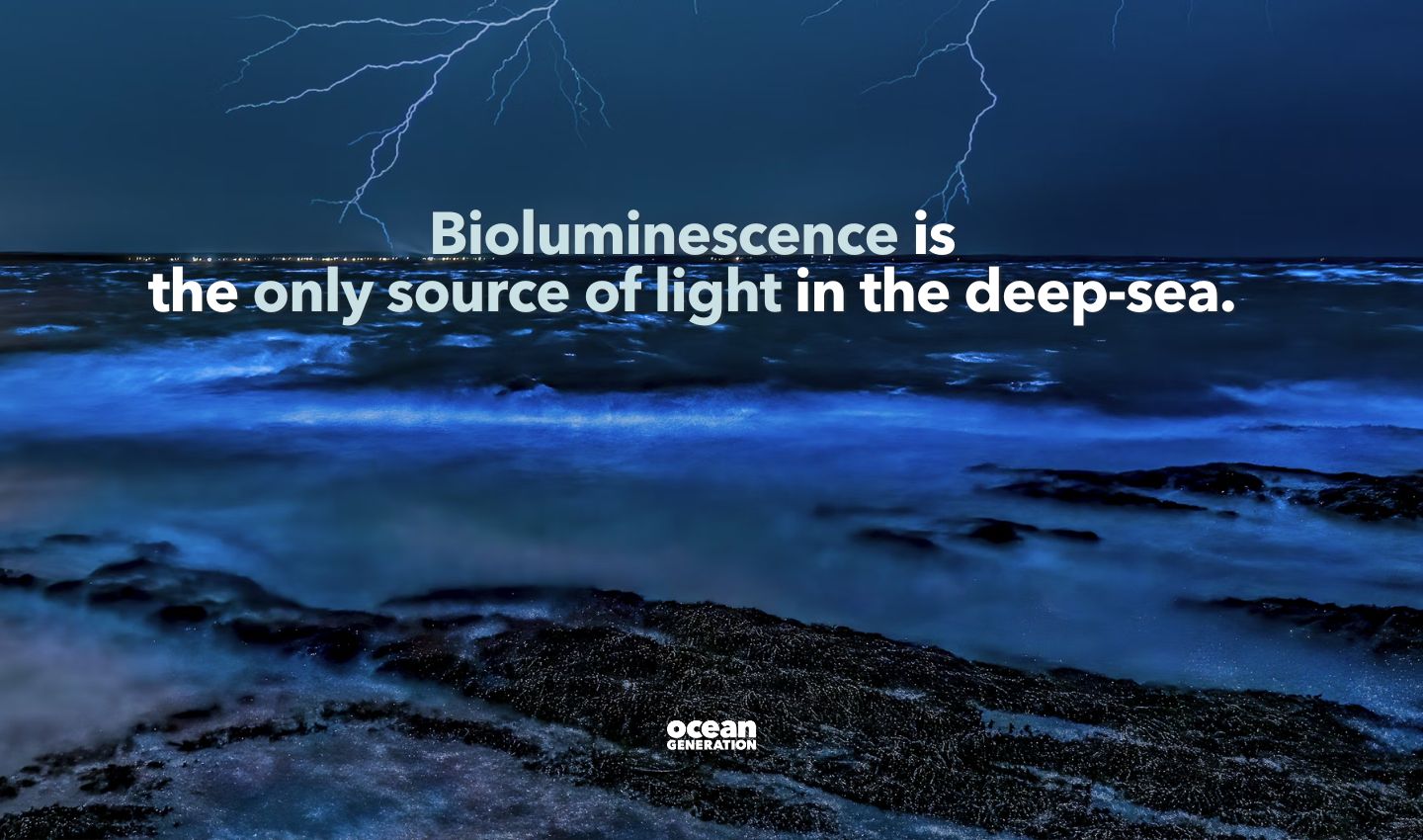 Interesting animals that use bioluminescence in the deep Ocean. - Ocean ...