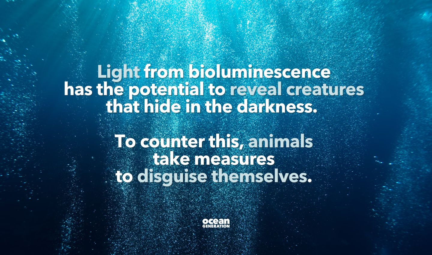 Interesting animals that use bioluminescence in the deep Ocean. - Ocean ...