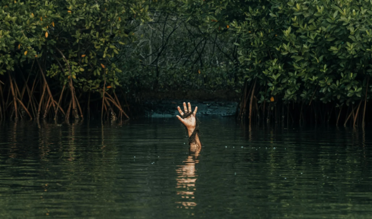 How can we protect and restore our coastlines? - Ocean Generation