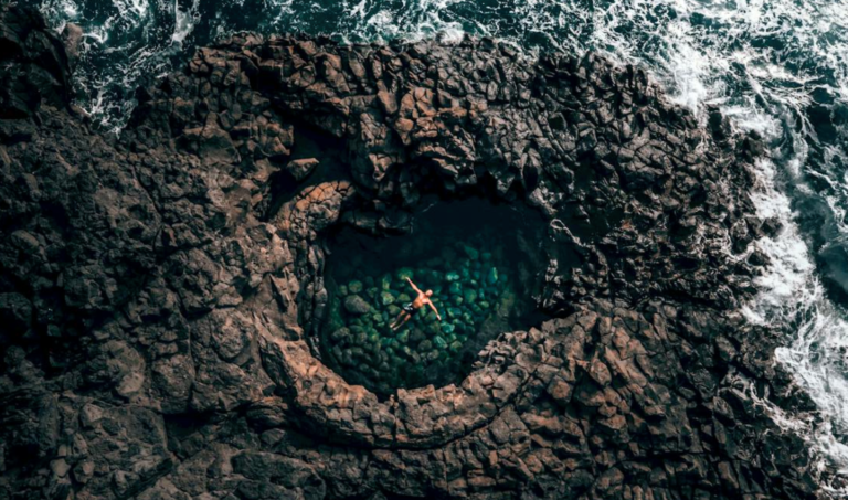 Surviving in the Intertidal Zone: The gateway to the Ocean - Ocean ...