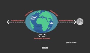 The motion of the Ocean explained: Waves and tides - Ocean Generation