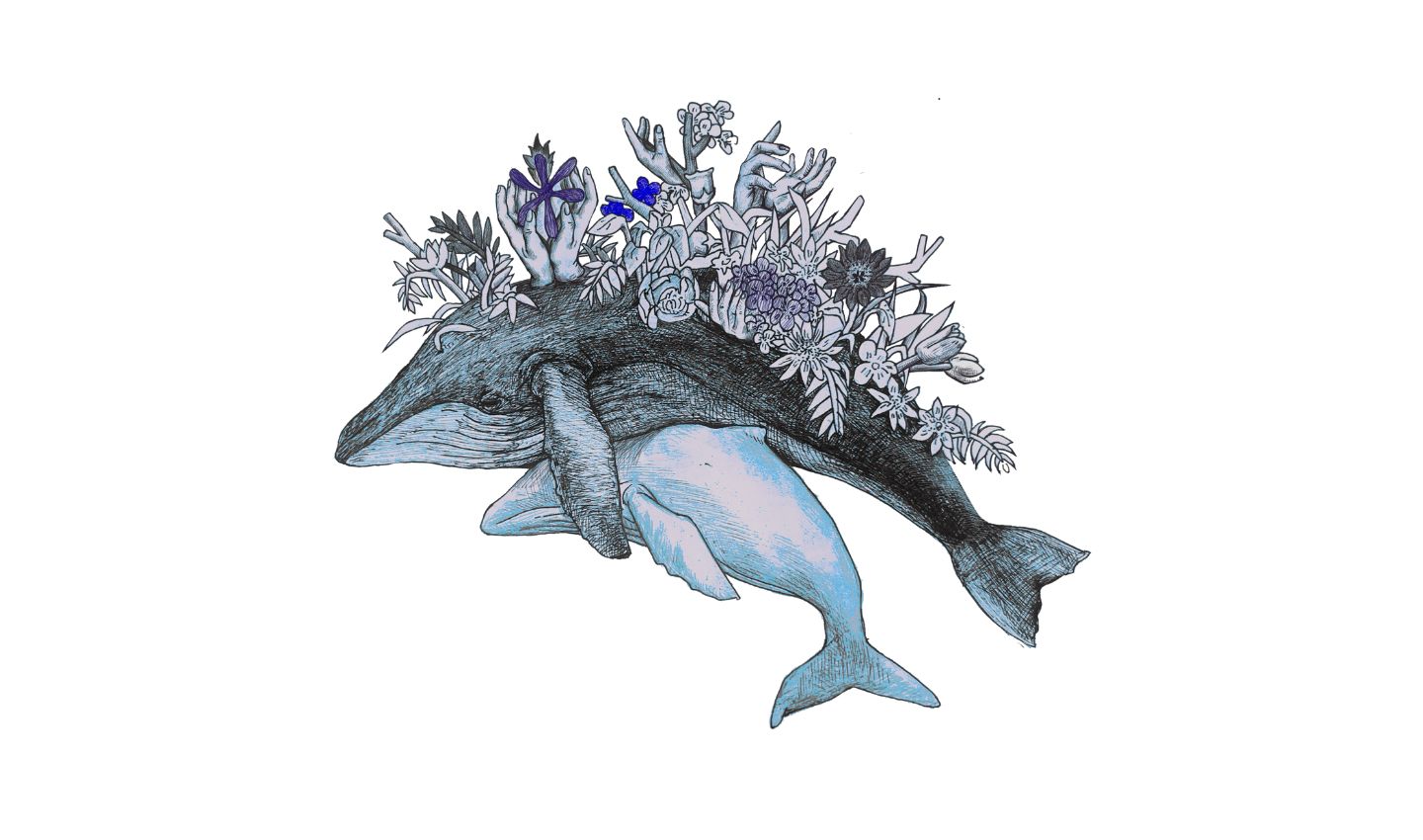 We asked 45 students to design clothing inspired by the Ocean - Ocean ...