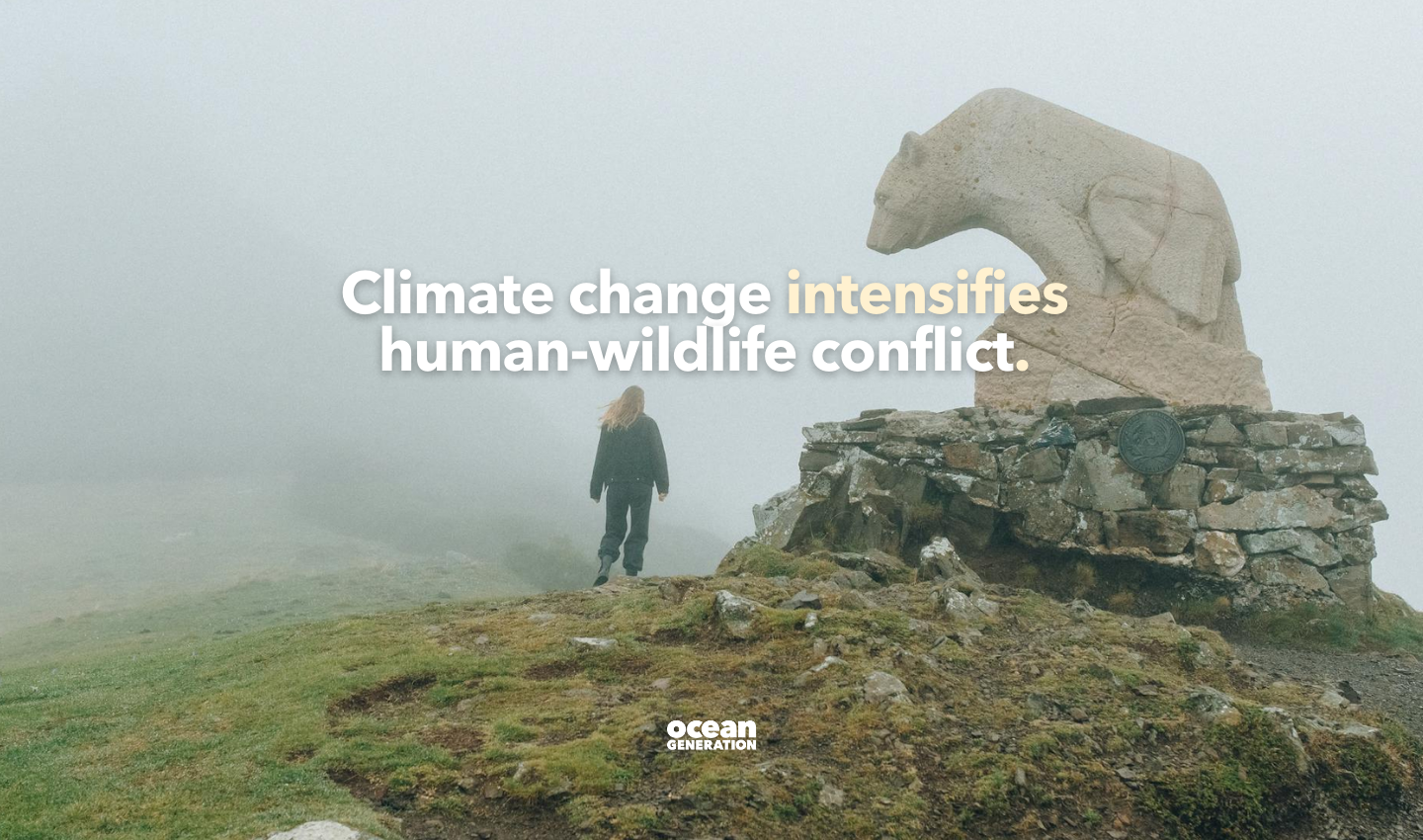 Balancing conservation and community in polar wildlife conflicts ...