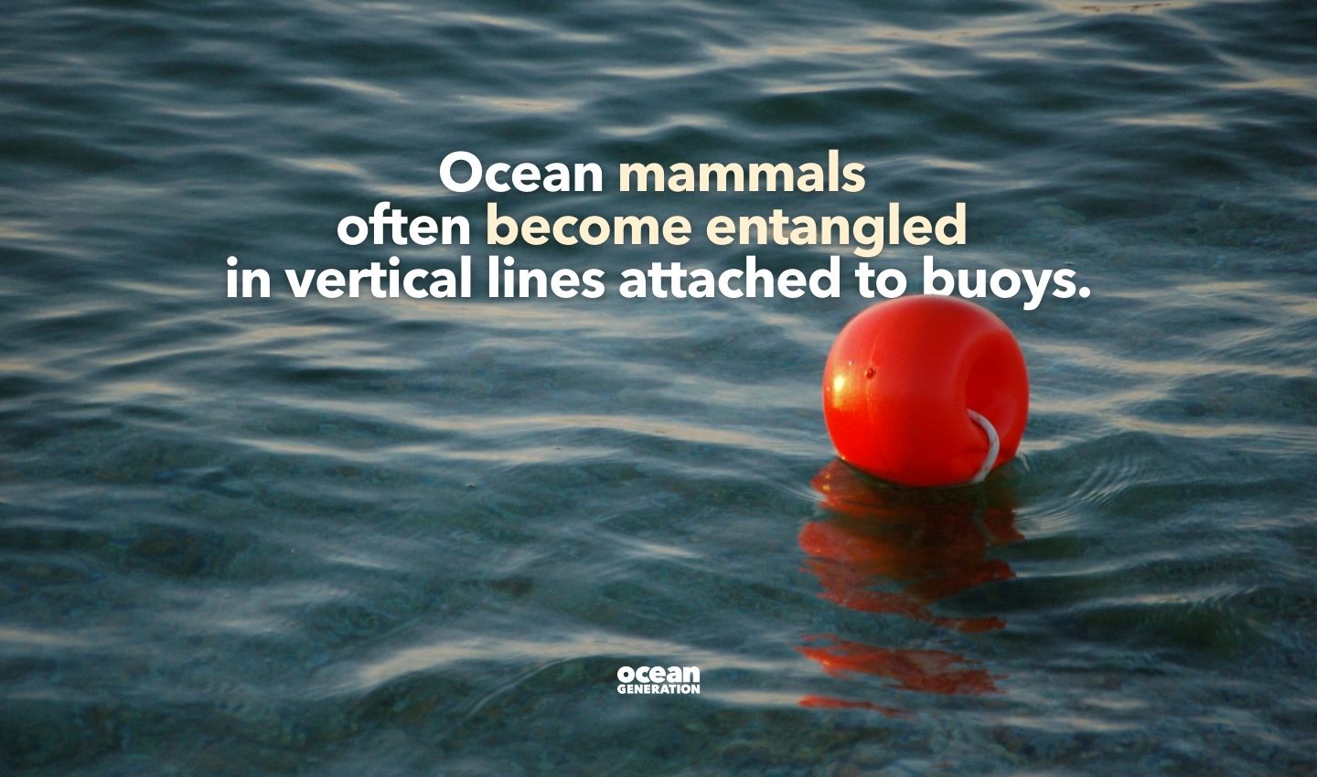 Balancing conservation and community in polar wildlife conflicts ...