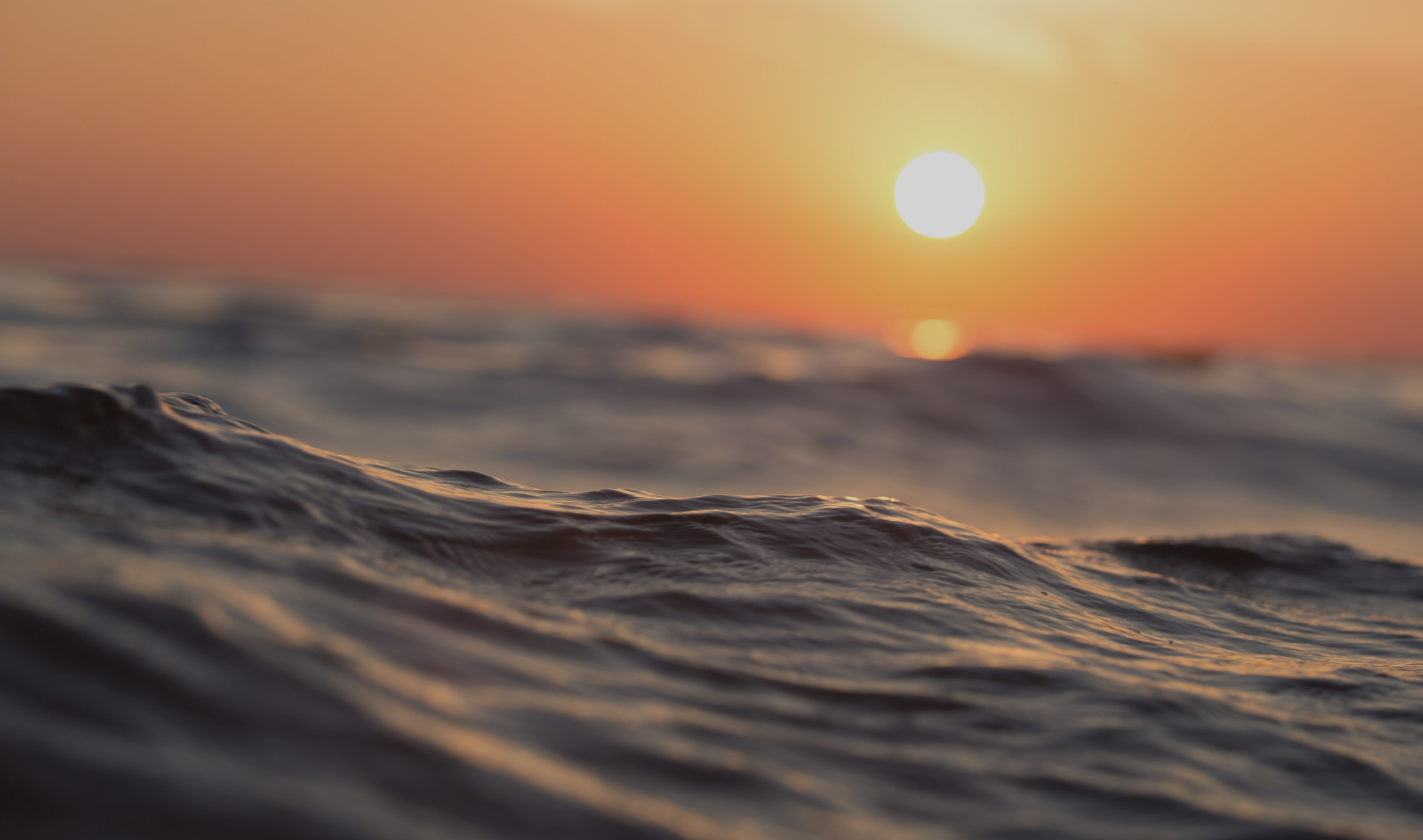 Ocean Generation Impact Report | Ocean Conservation Charity