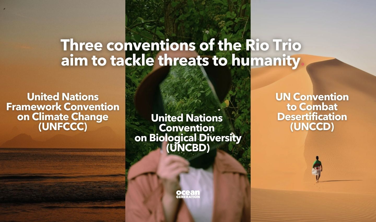 Everything you need to know about COP: COP29, COP16s and the things between - Ocean Generation