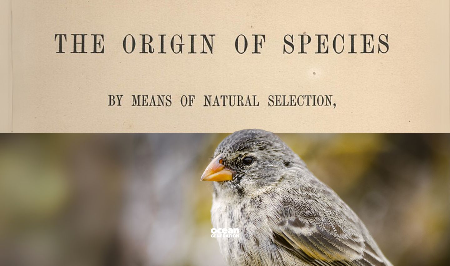 Charles Darwin’s Galápagos Voyage and Theory of Evolution - Ocean ...