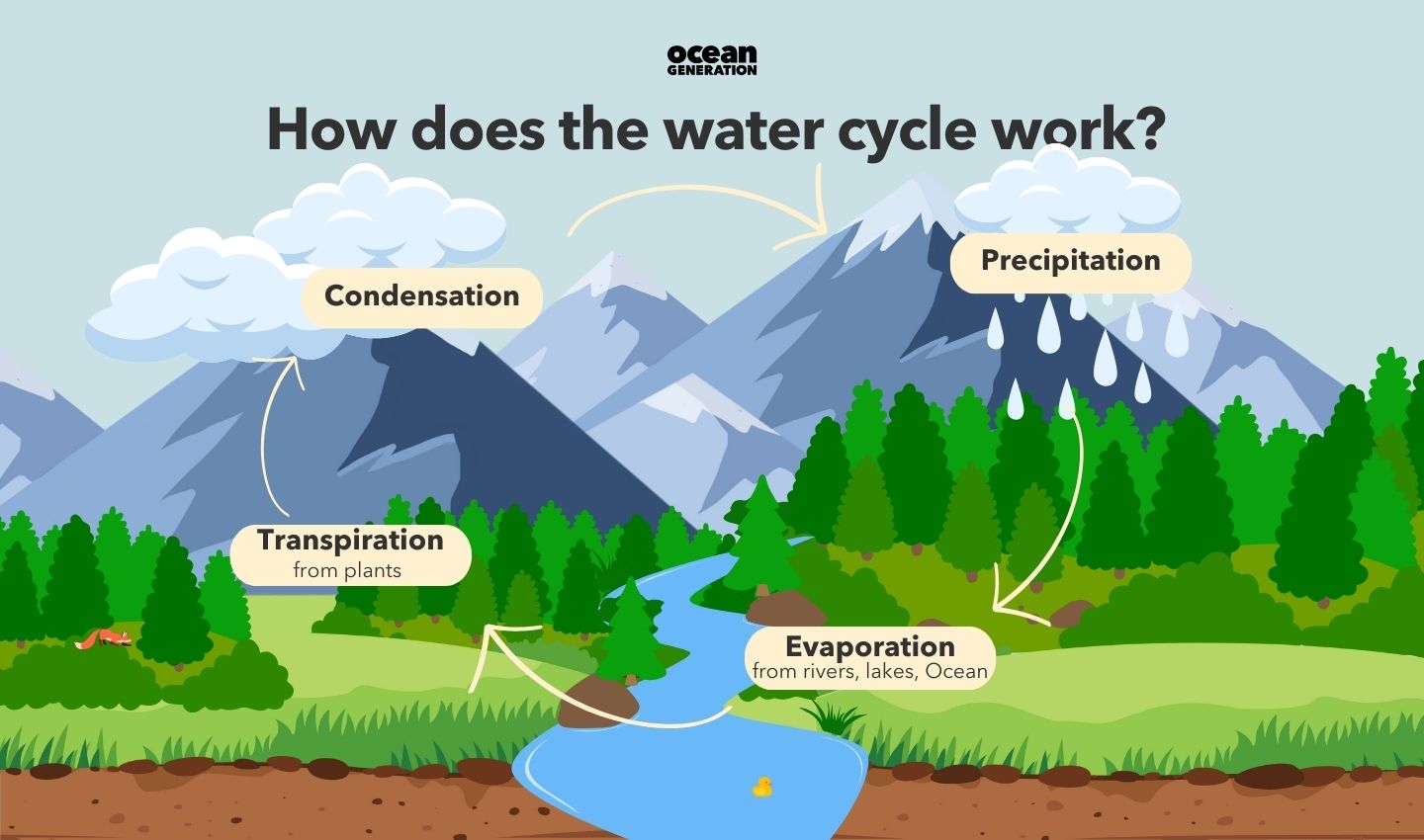 What is the water cycle? - Ocean Generation