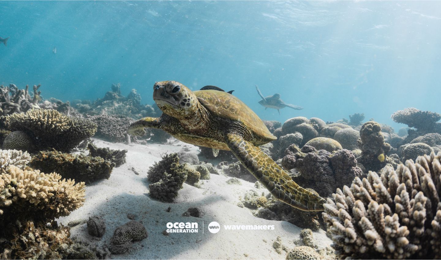Ethical adventures – Why choose eco-tourism? - Ocean Generation