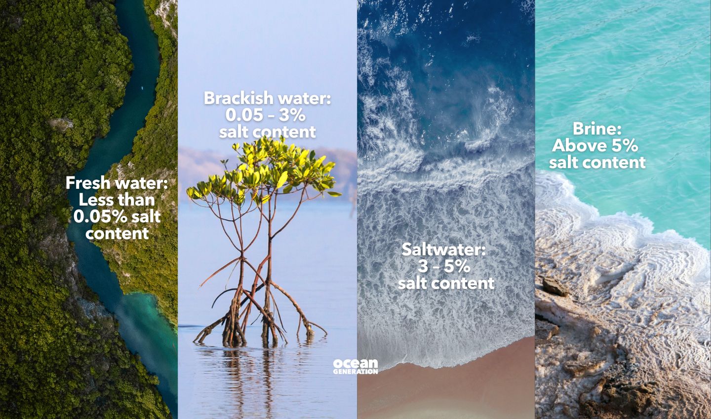 Why is the Ocean salty? - Ocean Generation