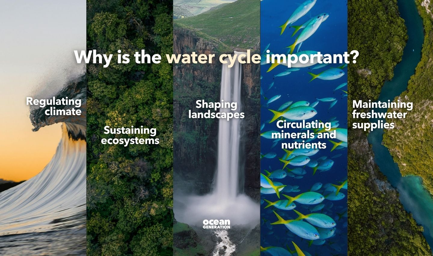 What is the water cycle? - Ocean Generation