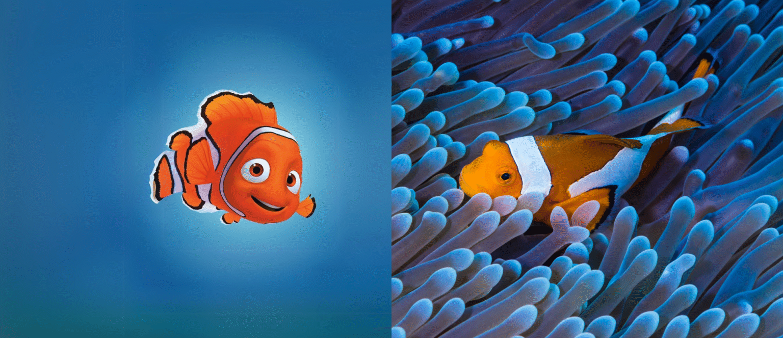 How accurate is Finding Nemo? - Ocean Generation