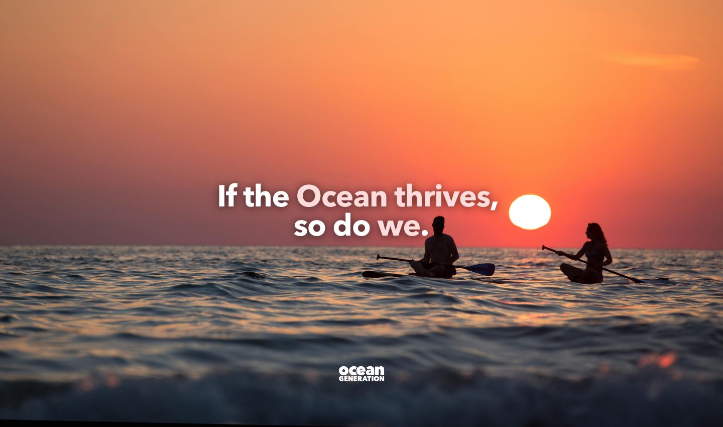 Marine Life Facts Archives - Ocean Generation