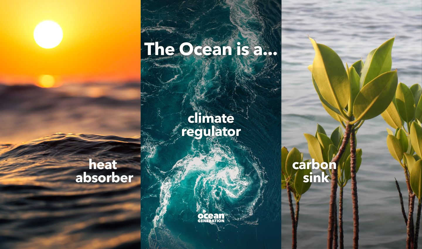 17 Science-backed ways the Ocean keeps you alive - Ocean Generation