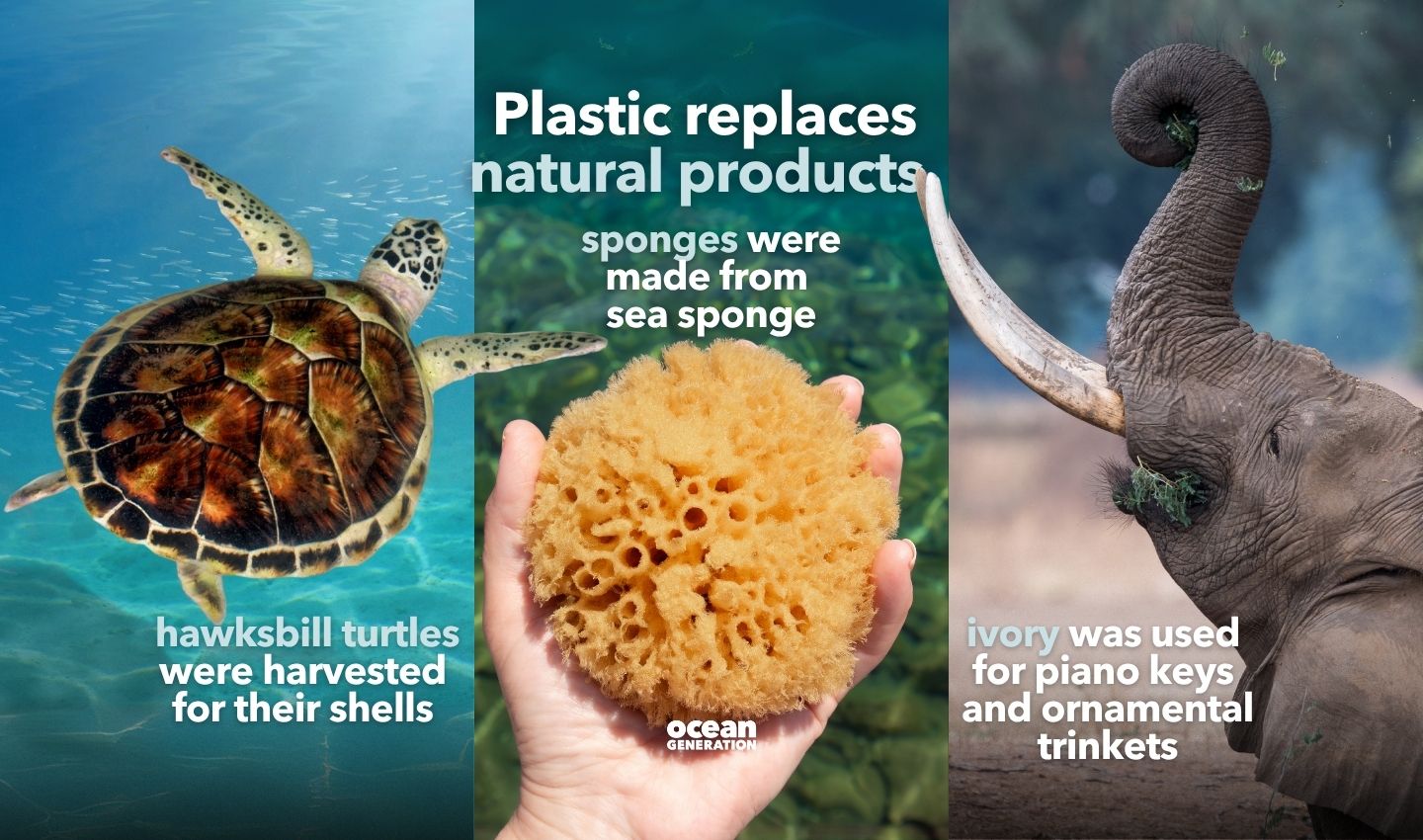 Is plastic good or bad? What it means for you and the planet - Ocean ...