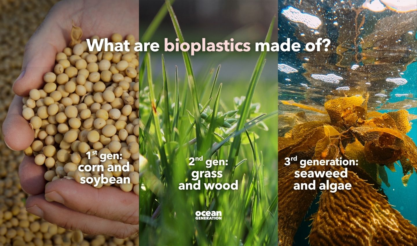 Is Seaweed the Secret to Ditching Plastic? Explained. - Ocean Generation