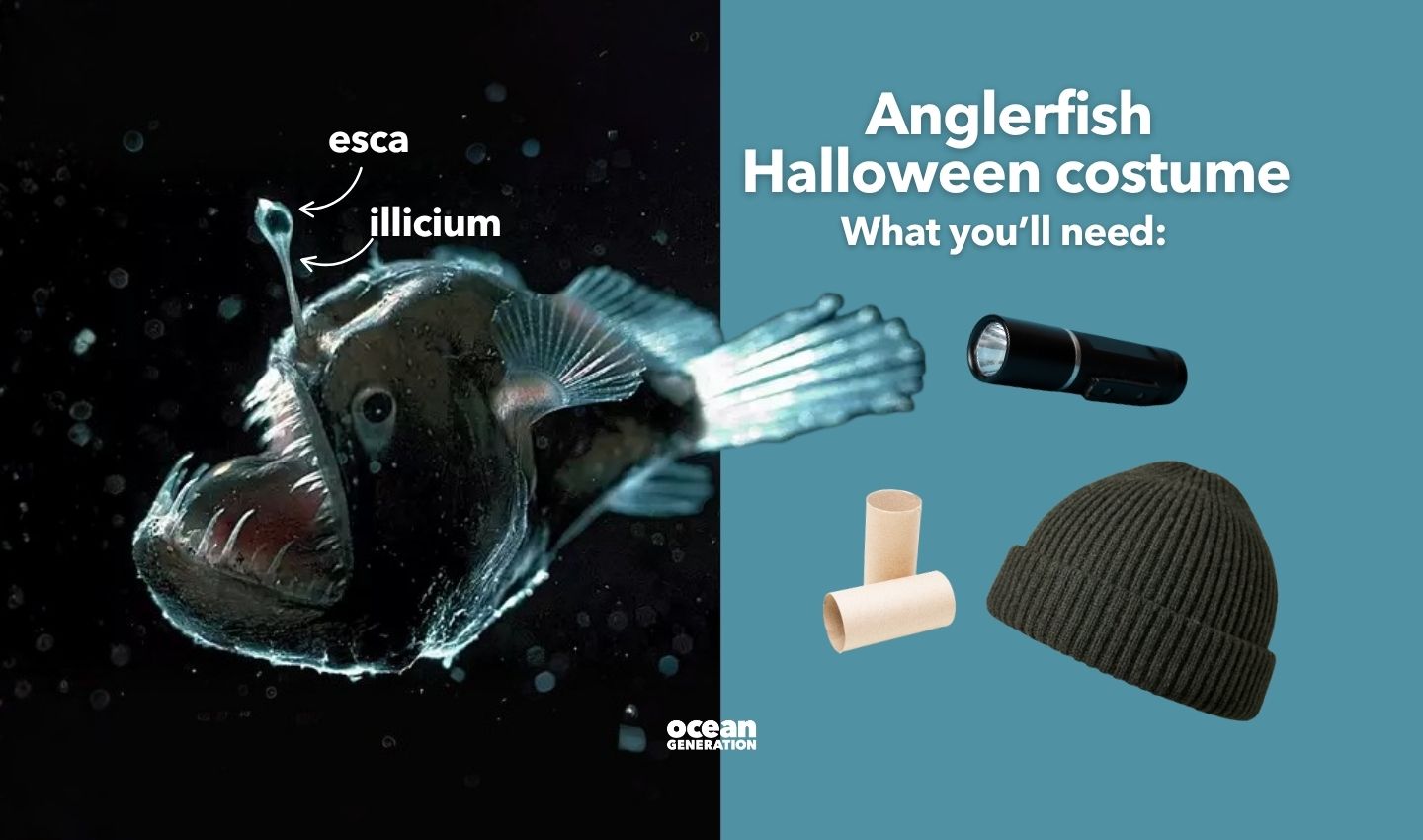 What deep-sea creature is the best Halloween costume? - Ocean Generation